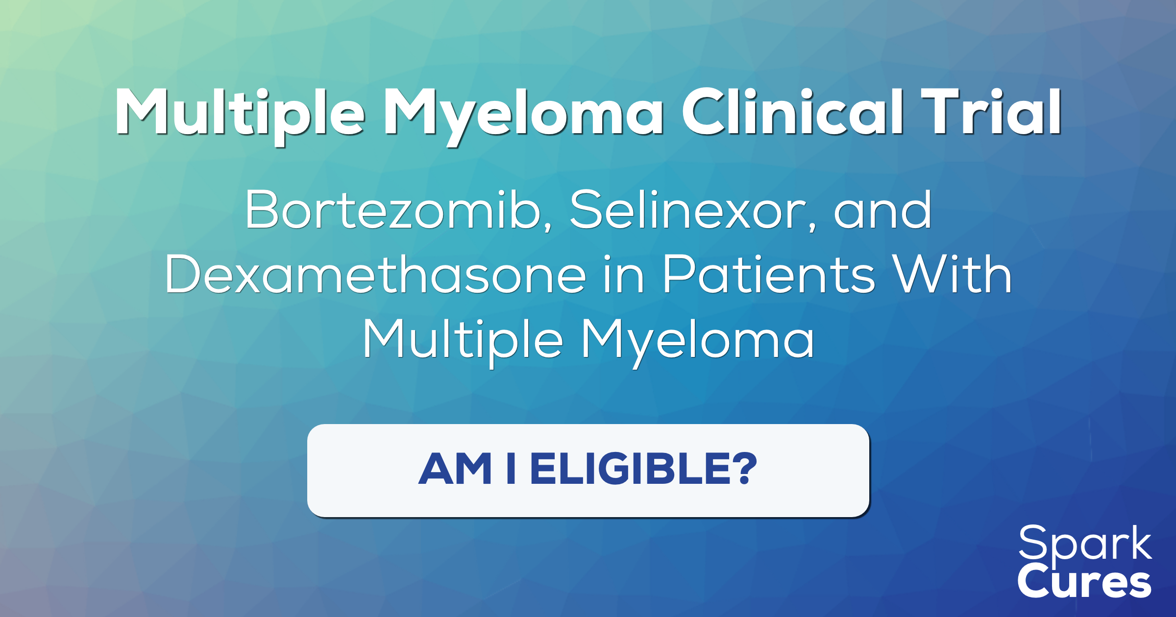 Multiple Myeloma Support + Trials